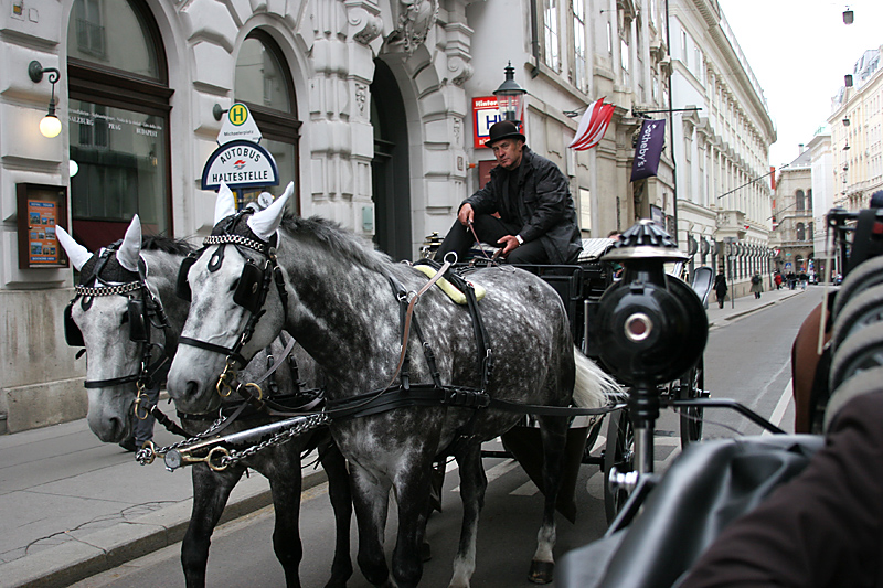 Fiaker fahren in Wien: Beim Heldenplatz gehts los